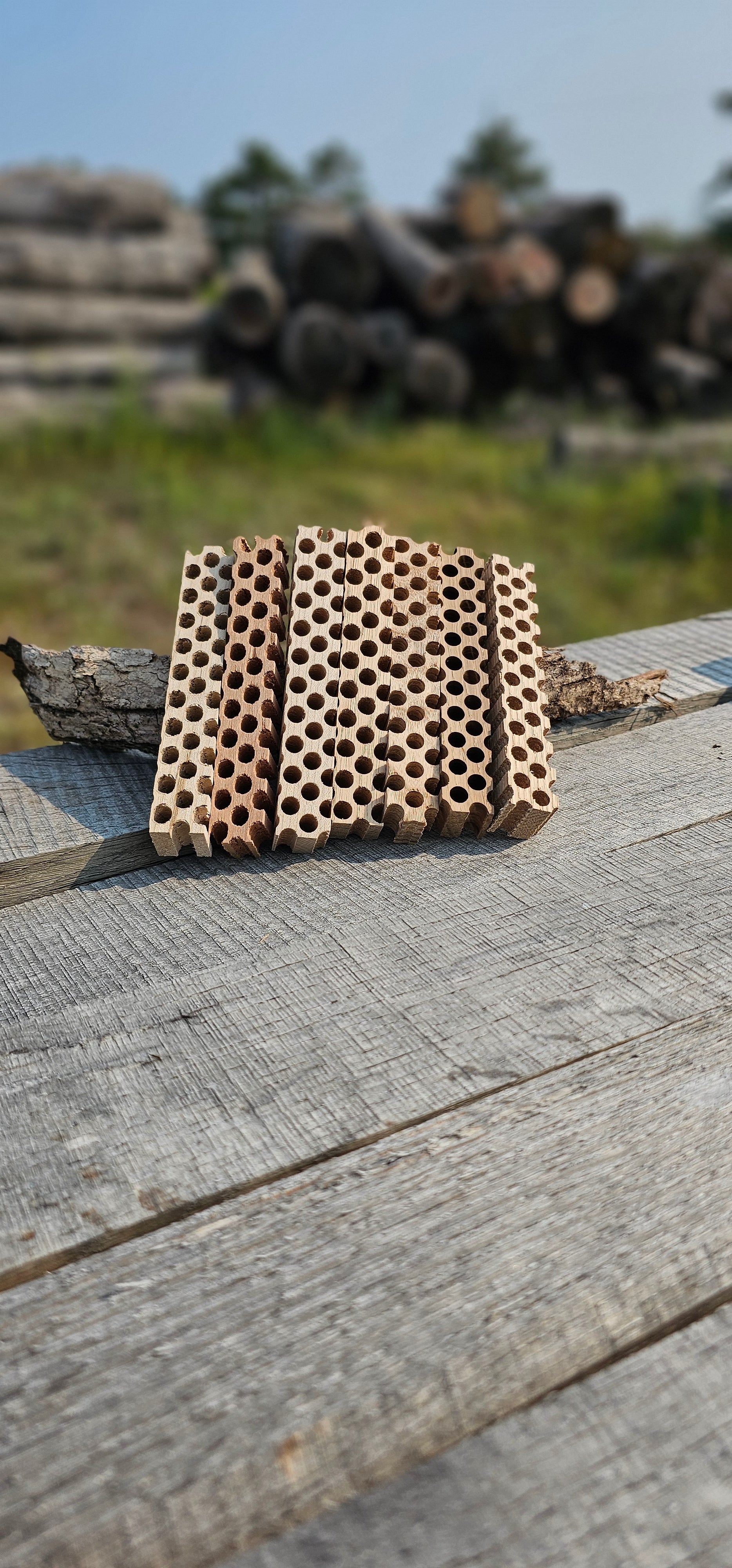 HONEY COMB® 5" Insert Variety Pack – Black Swan Wood Products