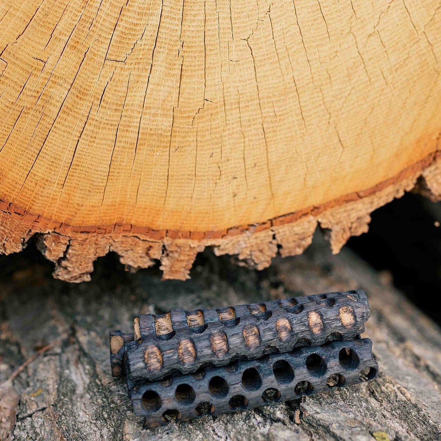 HONEY COMB® Bottle Insert (3 Pack) – Black Swan Wood Products